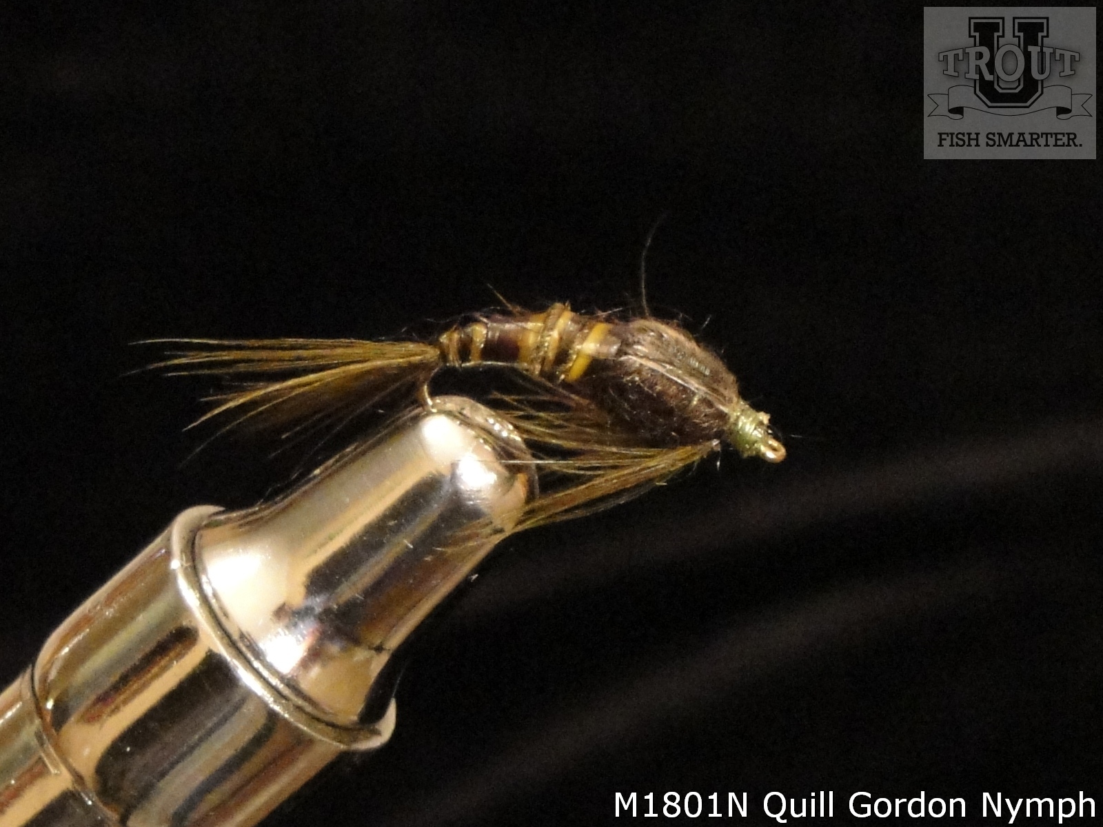 Quill Gordon Nymph Trout Pro Store
